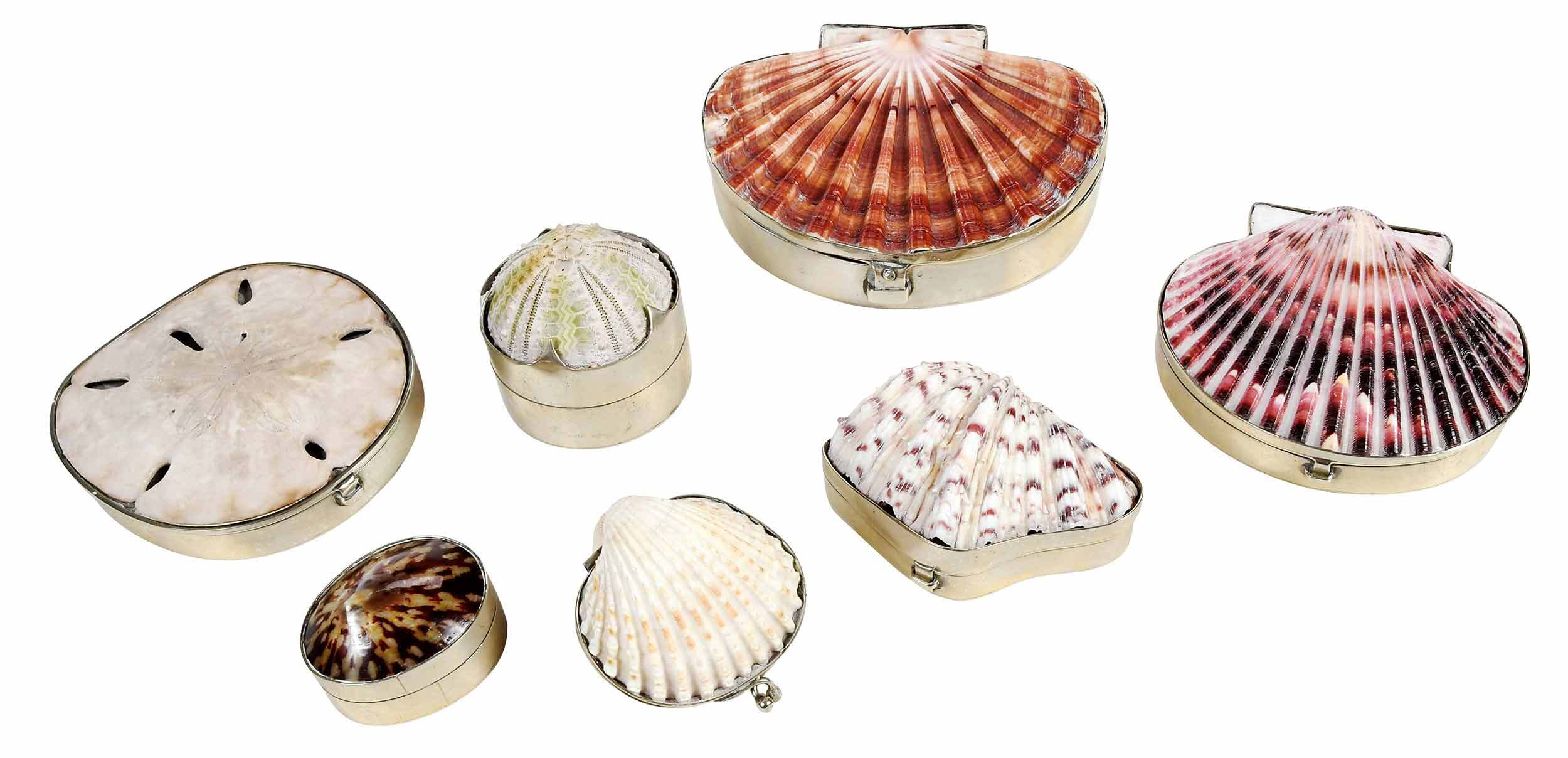 Seven Silver Mounted Shell Trinket Boxes | Barnebys